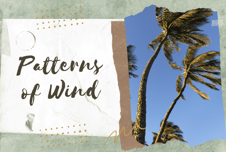 How Does Wind Affect Precipitation? - (Ultimate Guide!)