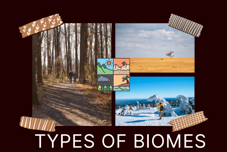Types of Biomes and Their Characteristics - (Complete Guide)