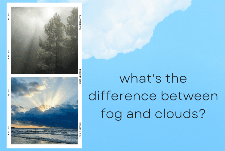 What Is The Difference Between Fog And Clouds? - (Guide)