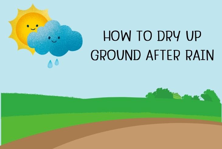 How Long Does It Take For Rain To Dry? - (Top Facts!)
