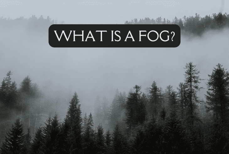 What Is The Difference Between Fog And Clouds? - (Guide)