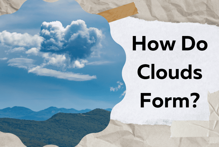 Can You Touch A Cloud? - (Little Known Facts!)