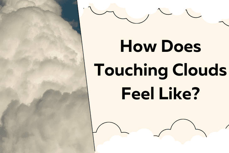 Can You Touch A Cloud? - (Little Known Facts!)