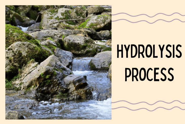 Which Climate Is Best Suited For Chemical Weathering? Facts!