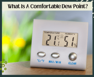 What Is An Uncomfortable Dew Point? - (Expert's View!)