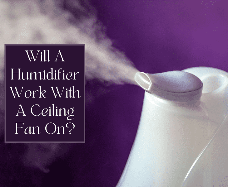 Will A Humidifier Work With A Ceiling Fan On? - (Expert's View!)
