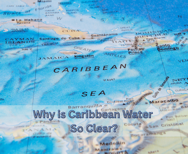 Why is Caribbean Water So Clear and Blue? - (Find Out Here!)