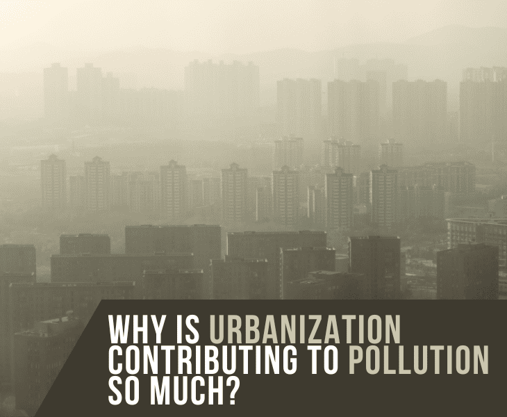 Why is Urbanization Contributing to Pollution? - (Know Here)