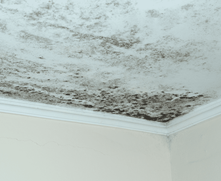 Can Relative Humidity Exceed 100? - (Let's Find Out!)