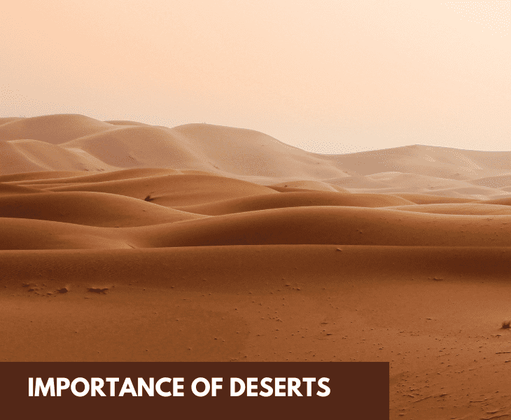 How Are The Tundra And Desert Similar? - (Fool Proof Guide)