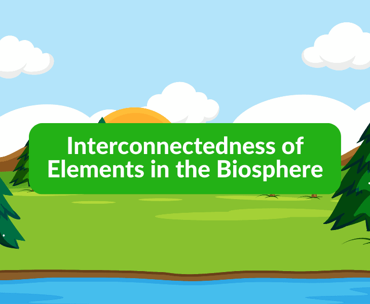 Why is the Biosphere Dynamic? - (Detailed Analysis!)