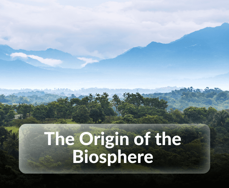 Why is the Biosphere Dynamic? - (Detailed Analysis!)