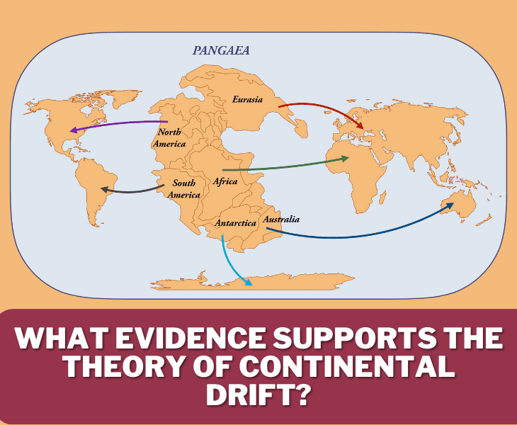 Know What Evidence Supports the Theory of Continental Drift?