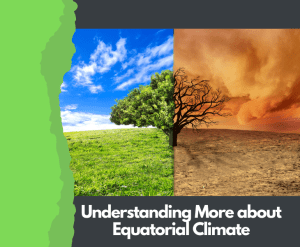 Is the Equator Hot or Cold? - (Top Facts Revealed!)