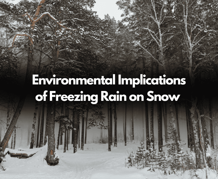 What Does Rain Do to Snow? - (Let's Find the Answer!)