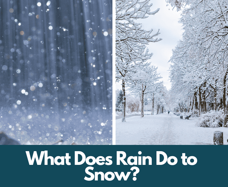 What Does Rain Do to Snow? - (Let's Find the Answer!)