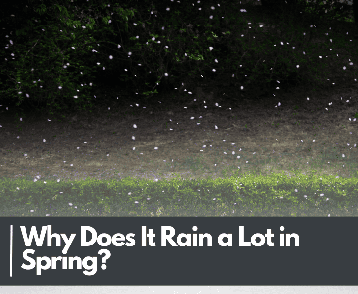 Why Does It Rain a Lot in Spring? - (Real Reasons!)
