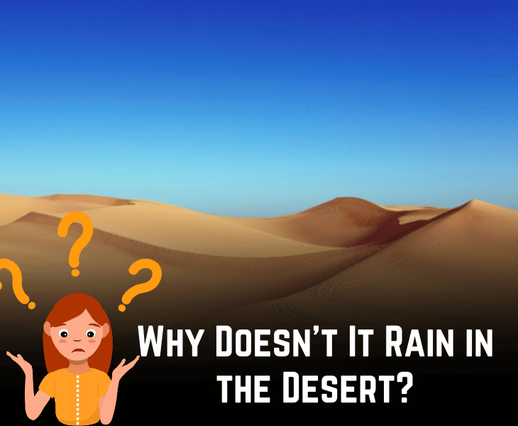 Why Doesn't It Rain in the Desert? (Reason Behind)