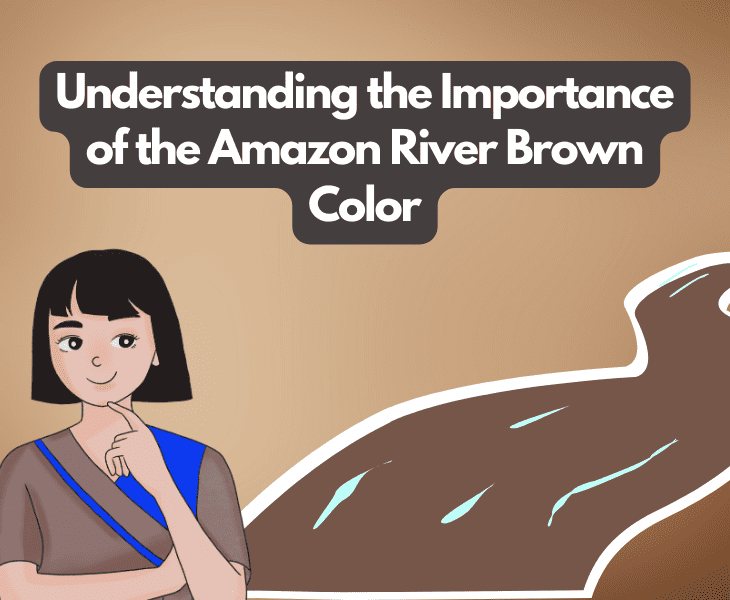 Why Is The Amazon River Brown? - (Top Reasons!)