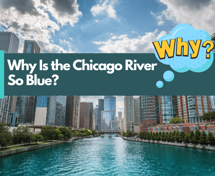 Why Is the Chicago River So Blue? - (Let's Find Out!)