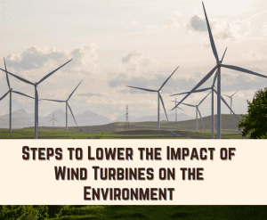 Most Negative Effects of Wind Turbines on The Environment?
