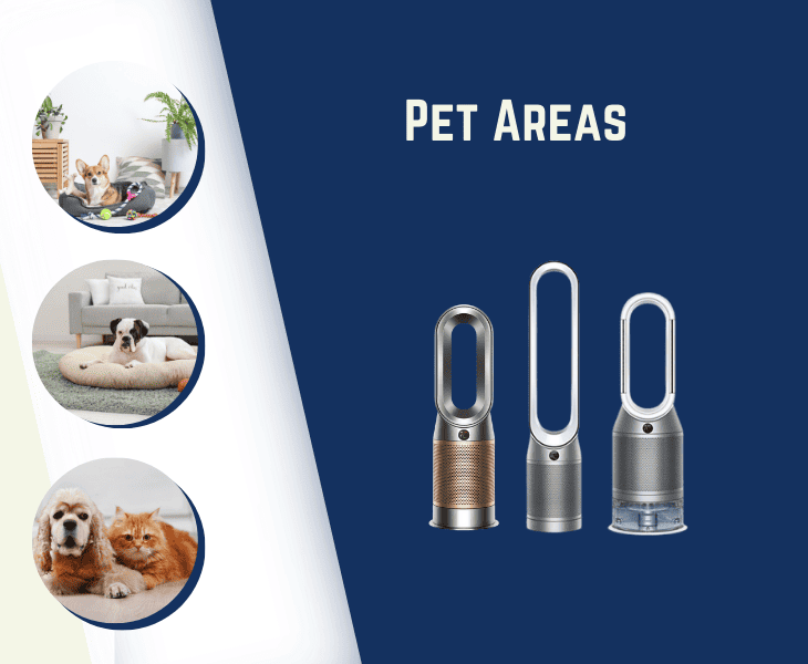 Where to Place Dyson Air Purifier? - (Let's Find Out!)