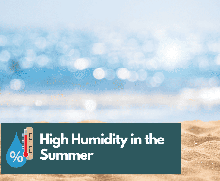 Why Is It So Humid in Chicago? - (Let's Find Out!)