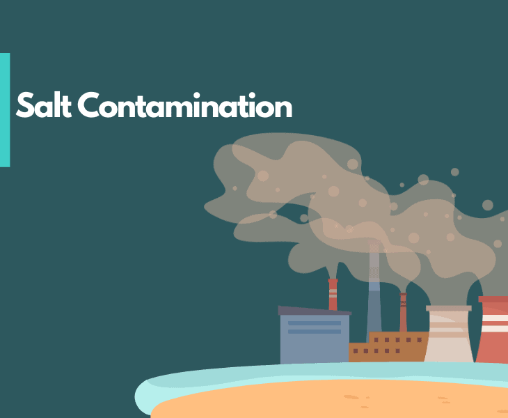 Why is Rain Not Salty? - (Little Known Facts!)