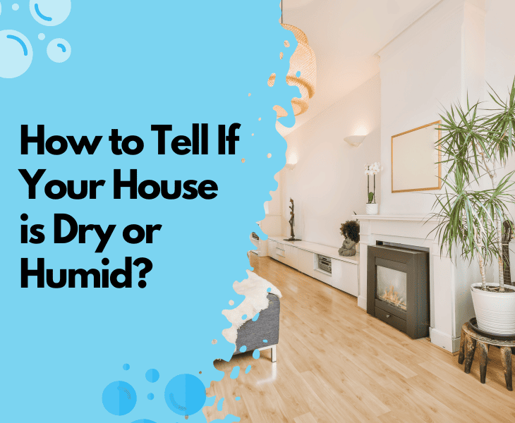 How to Tell If Your House is Dry or Humid? - (Best Ways)