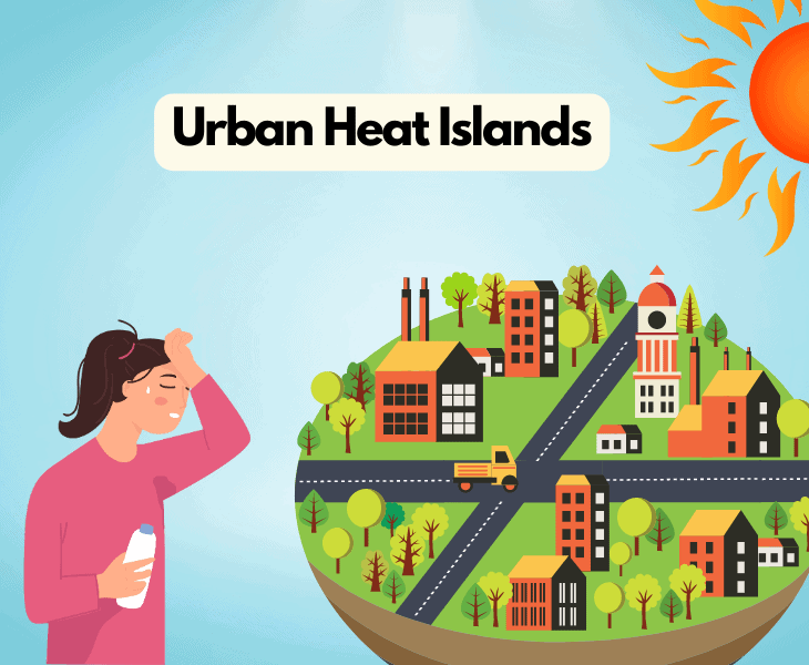 How Does Overpopulation Affect Climate Change? (Facts!)