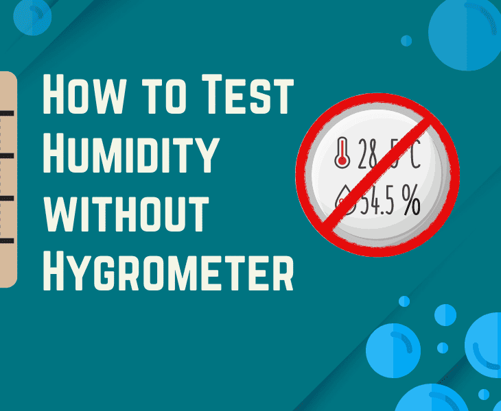 How to Test Humidity without Hygrometer? (Best Ways!)