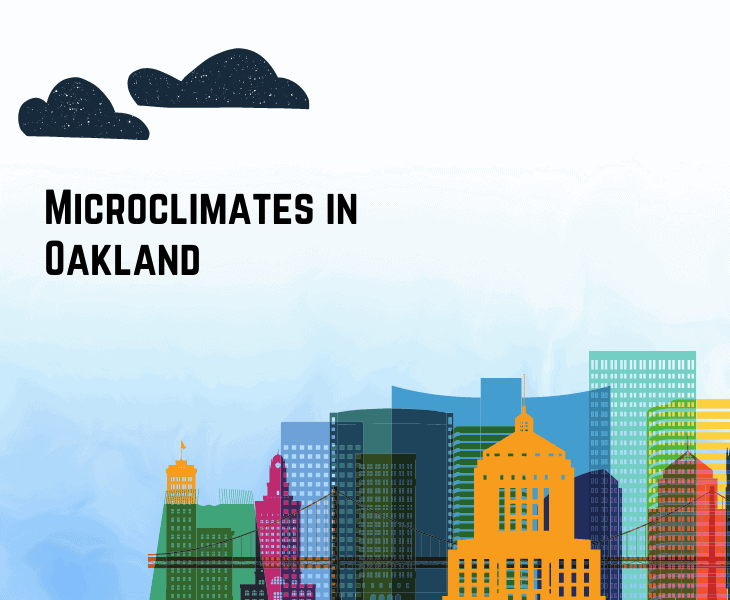 Does it Snow in Oakland California? - (Let's Check!)