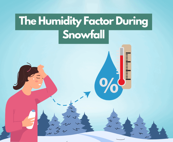 Why Does It Feel Warmer When It Snows? (Explained!)