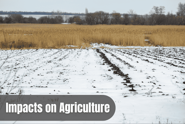 Why Are Blizzards Dangerous? (Unveiling the Dangers!)