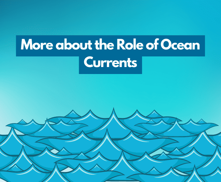 Why Does Weather Move West to East? (Science Behind!)