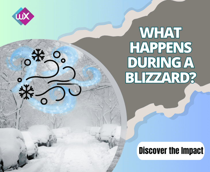What Happens During A Blizzard? - (Discover the Impact)