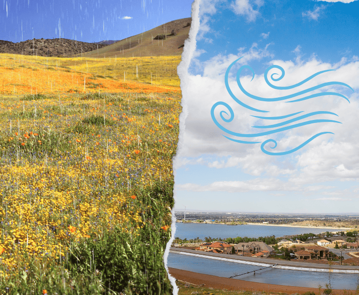 Does It Snow In Palmdale? - Data Driven Facts (2024)
